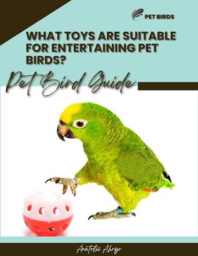 What toys are suitable for entertaining pet birds?: Pet bird guide by ...