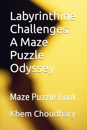 Labyrinthine Challenges: A Maze Puzzle Odyssey: Maze Puzzle Book by Mr ...