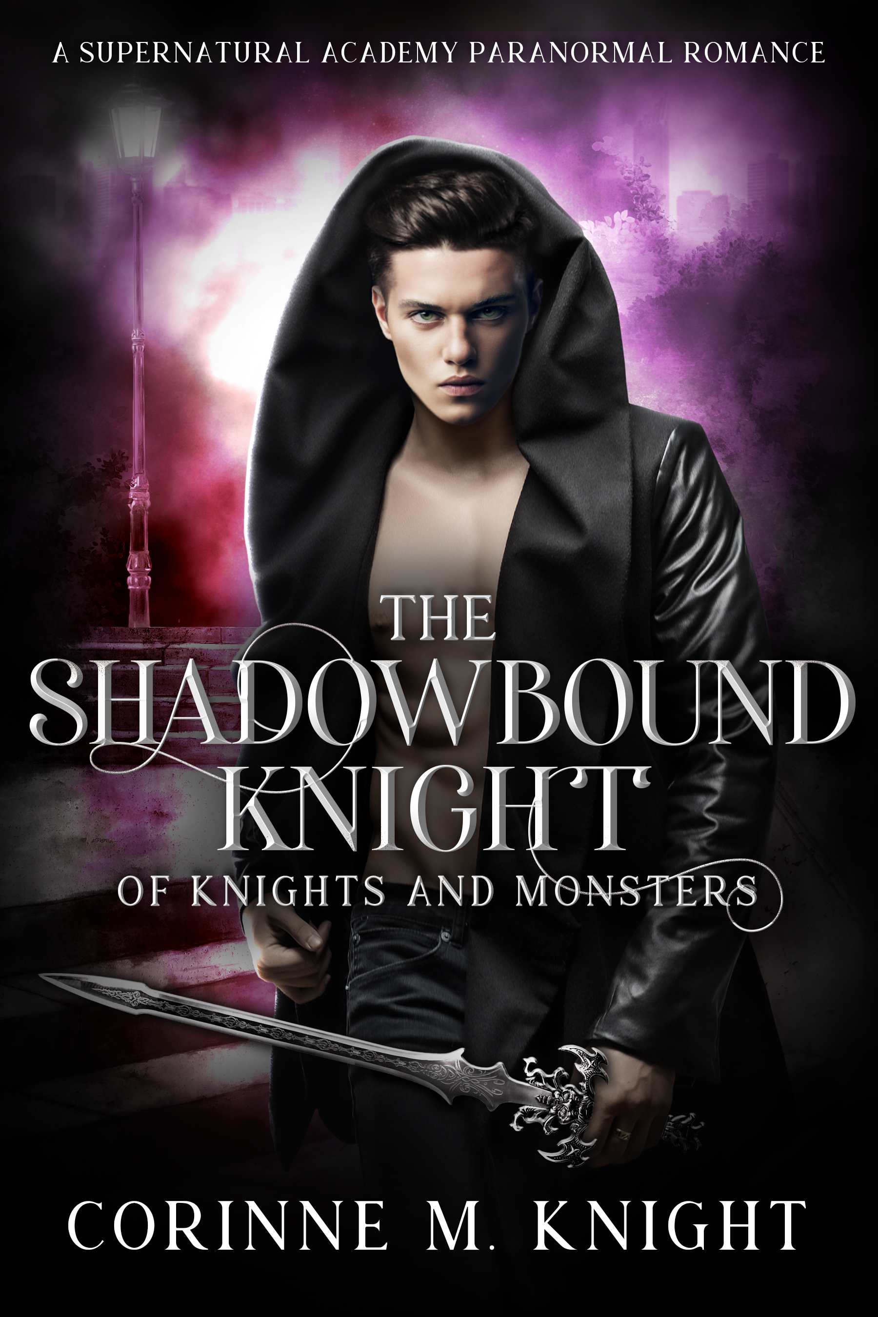 The Shadowbound Knight by Corinne M. Knight | Goodreads