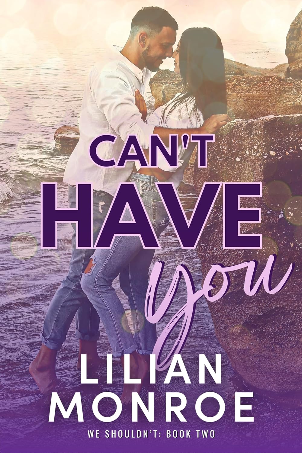 Can't Have You (We Shouldn't, #2) by Lilian Monroe | Goodreads