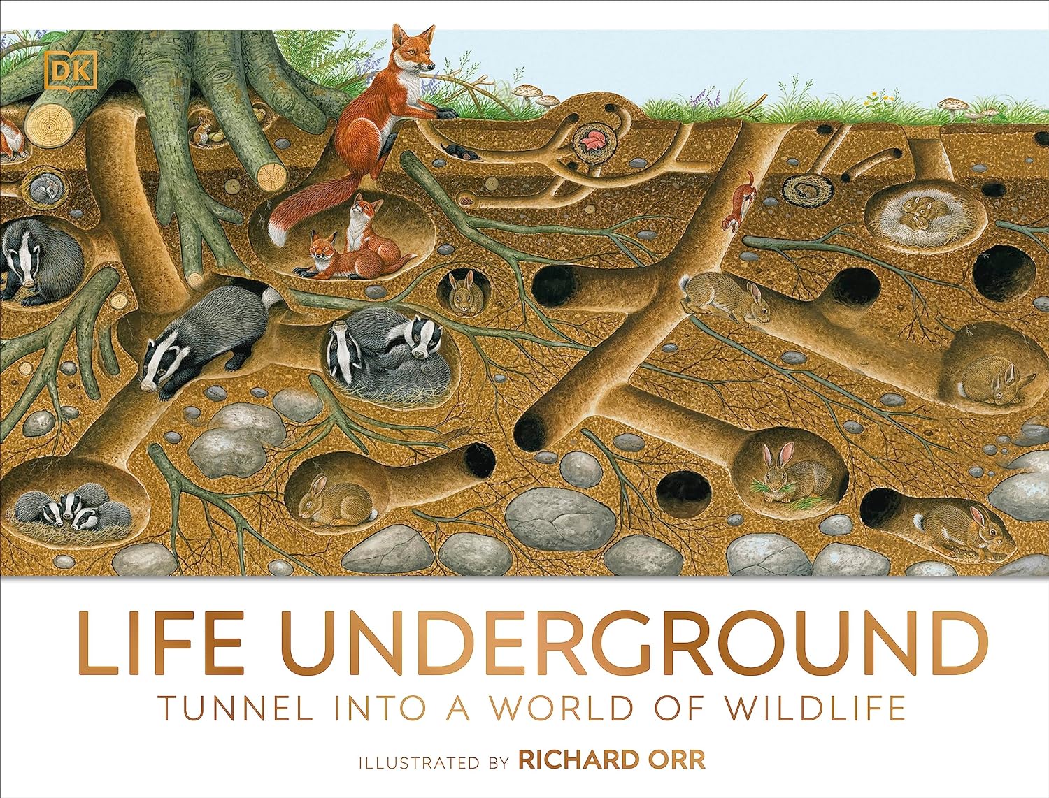 Life Underground: Tunnel into a World of Wildlife by D.K. Publishing ...