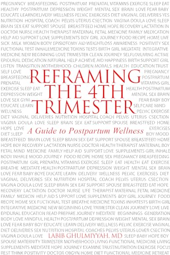 Reframing the 4th Trimester: A guide to Postpartum Wellness by Labib ...