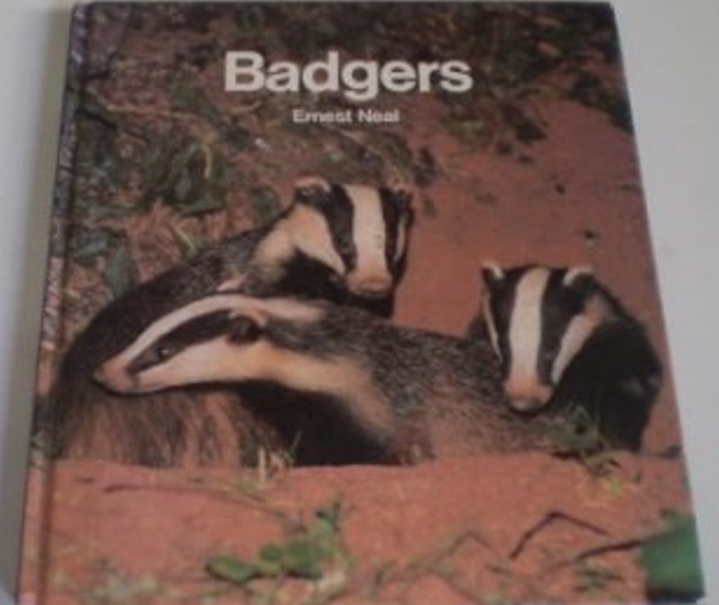 Badgers (Nature & Close Up Series) by Ernest Neal | Goodreads