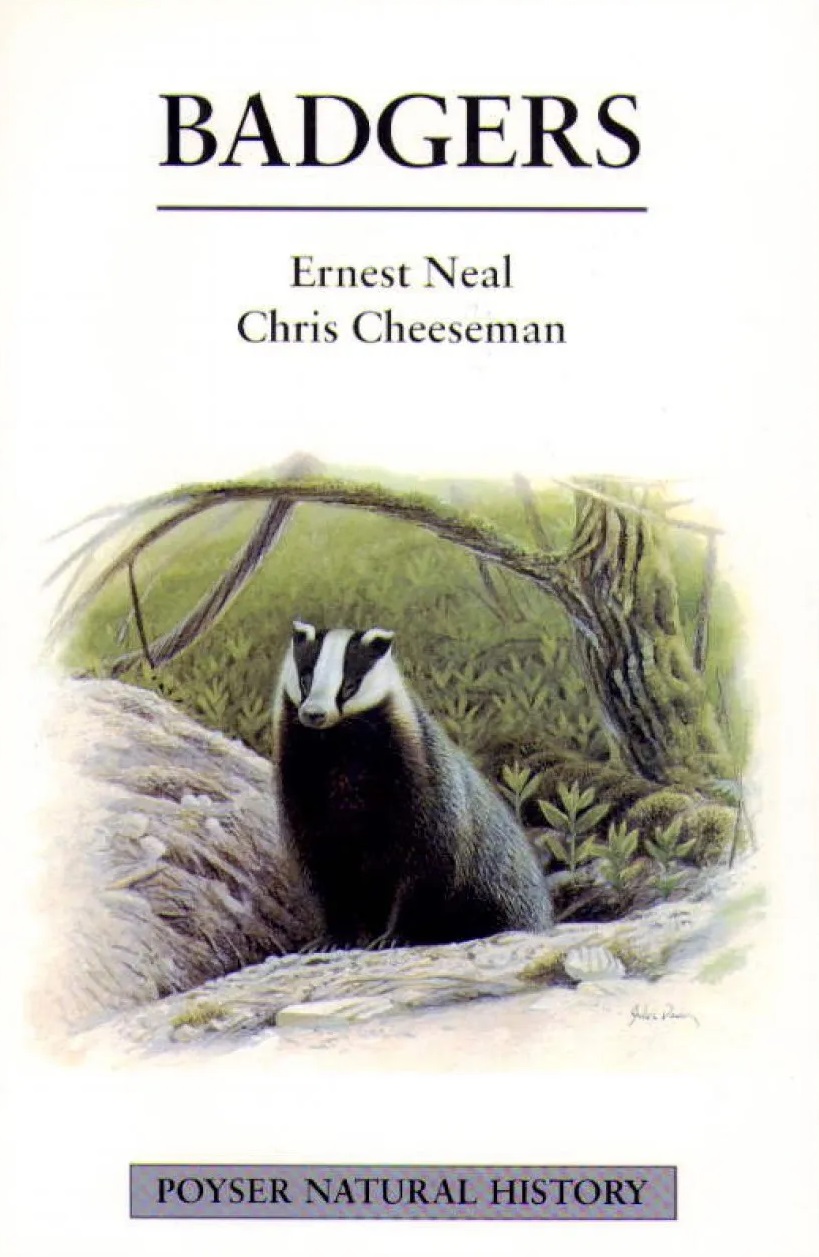 Badgers (Poyser Natural History) by Ernest Neal | Goodreads