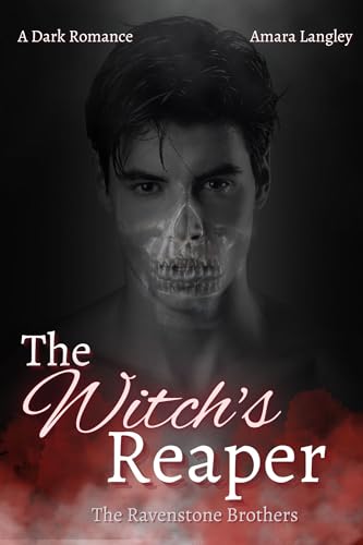 The Witch's Reaper: The Ravenstone Brothers by Amara Langley | Goodreads