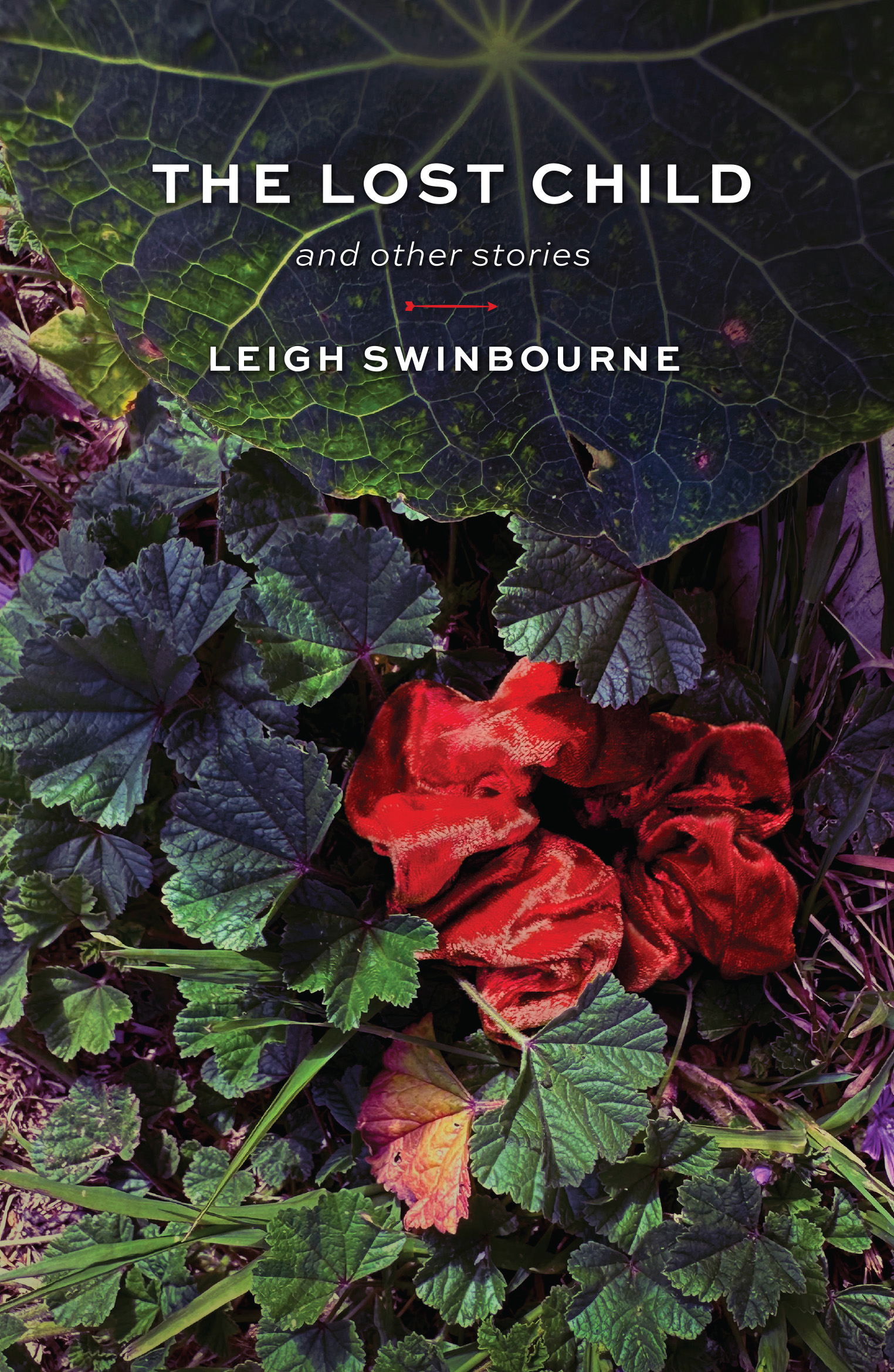 The Lost Child: and other stories by Leigh Swinbourne | Goodreads