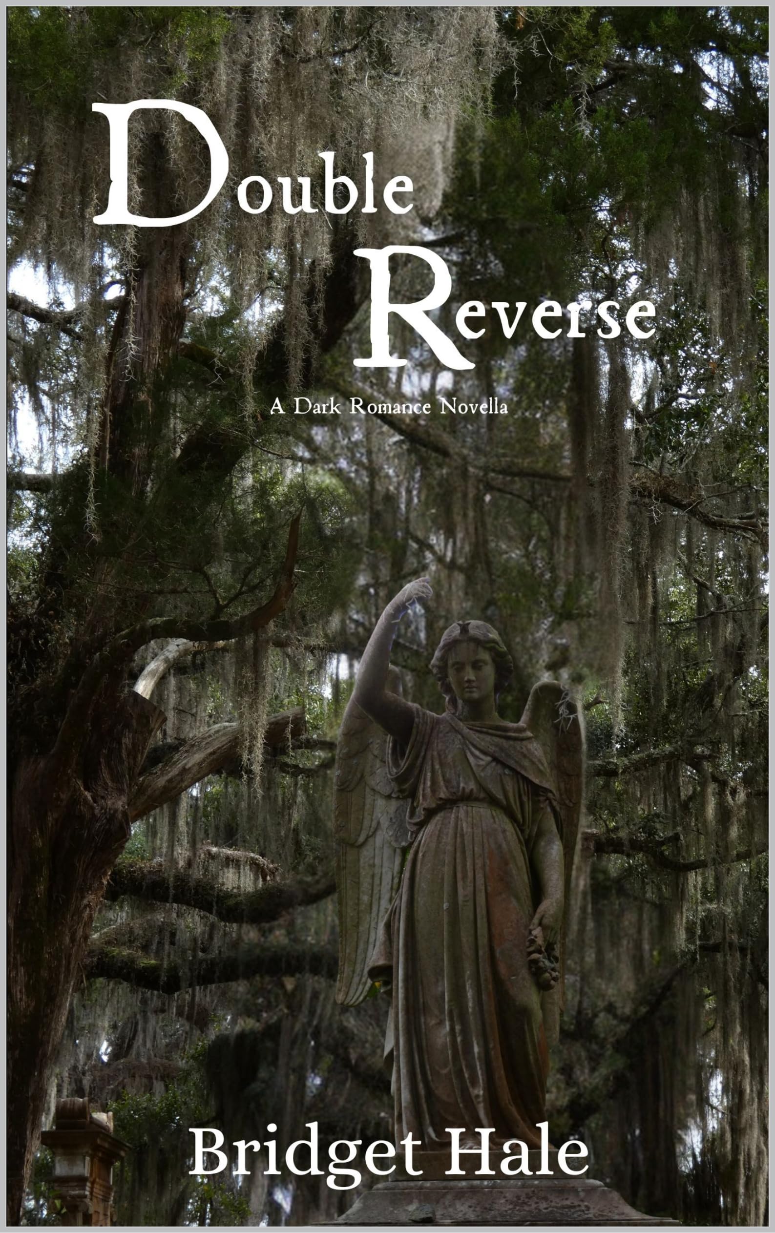 Double Reverse (DoubleVerse Book 1) by Bridget Hale | Goodreads
