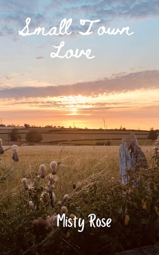 Small Town Love by Misty Rose | Goodreads