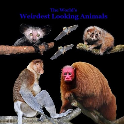 Weirdest Looking Animals in the World Kids Book: Great Way for kids to ...