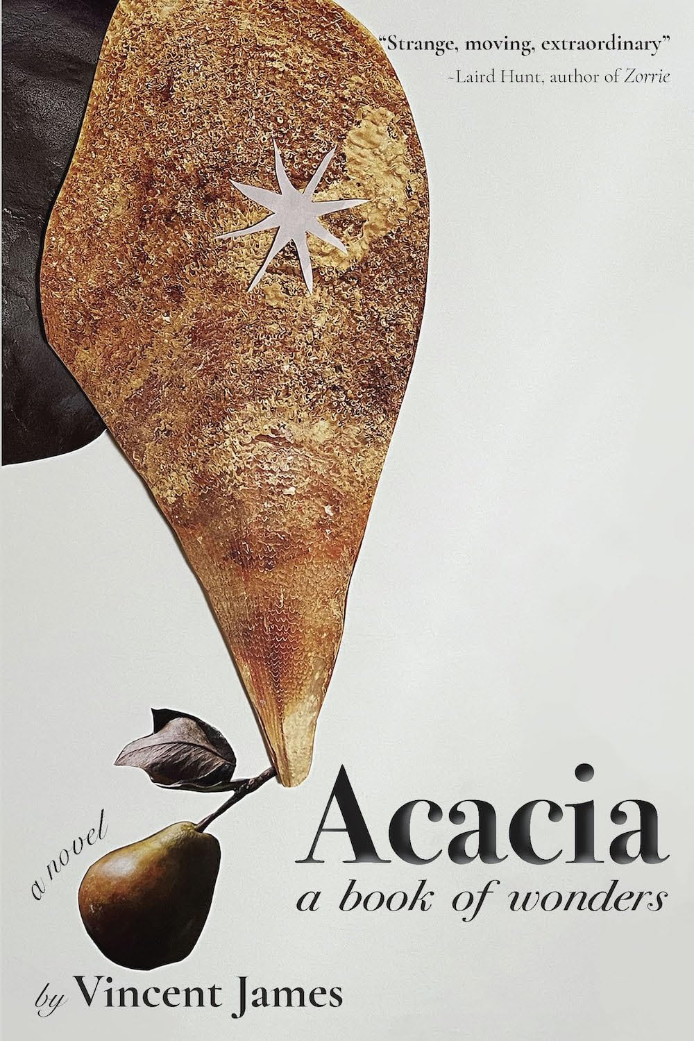 Acacia, a Book of Wonders by Vincent James | Goodreads