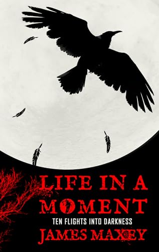 Life in a Moment: Ten Flights into Darkness by James Maxey | Goodreads