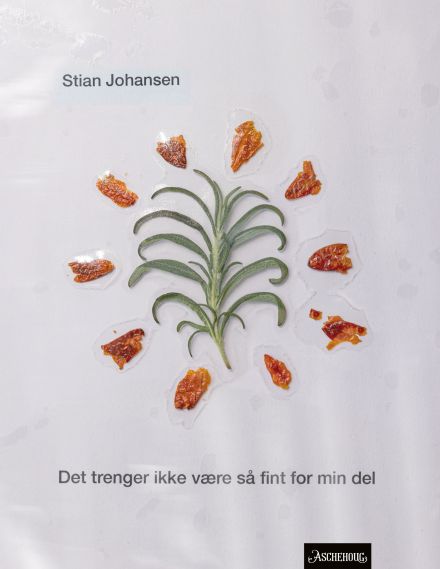 Det trenger ikke å være så fint for min del by Stian Johansen | Goodreads