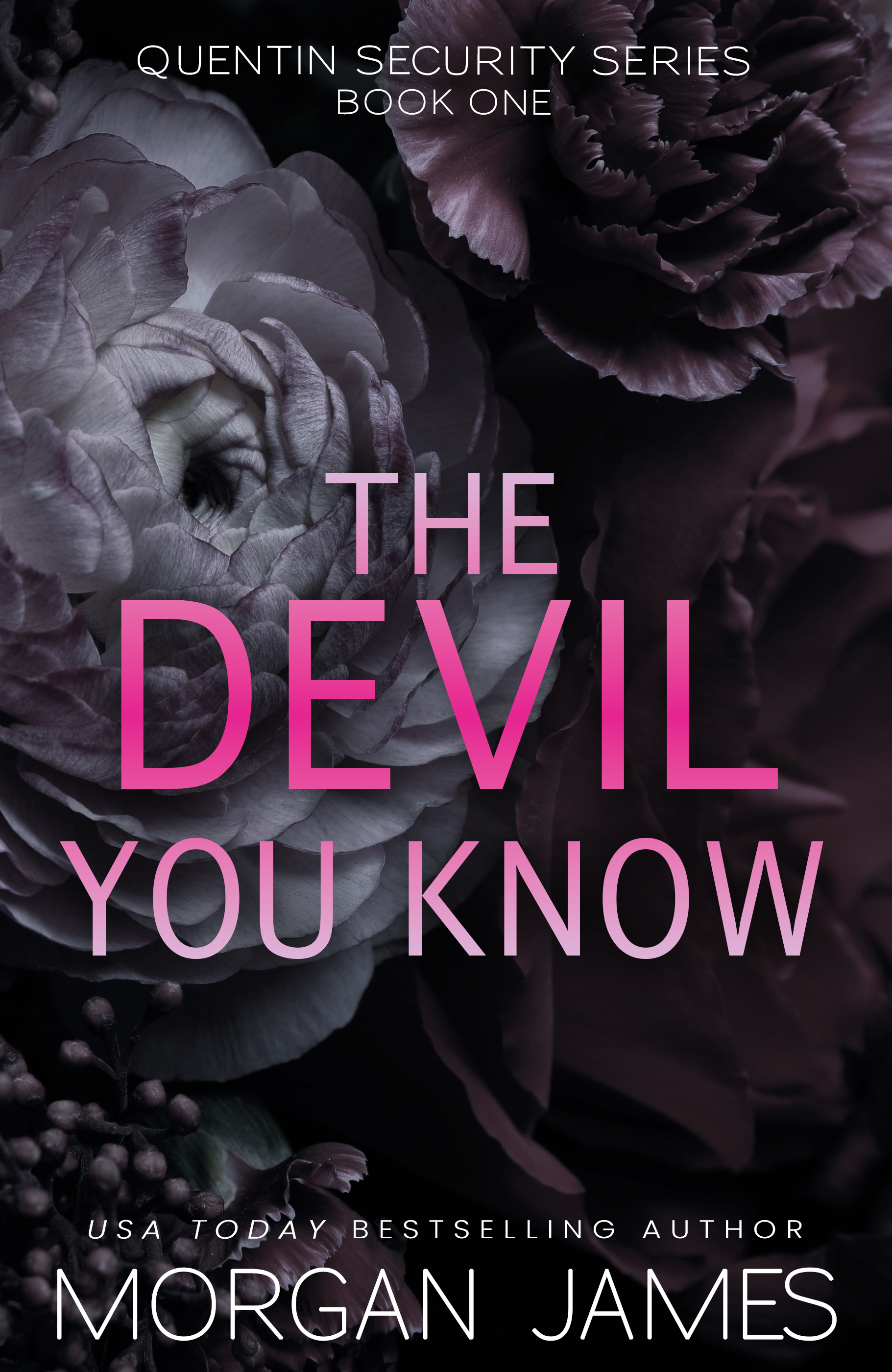 The Devil You Know (Quentin Security #1) by Morgan James | Goodreads
