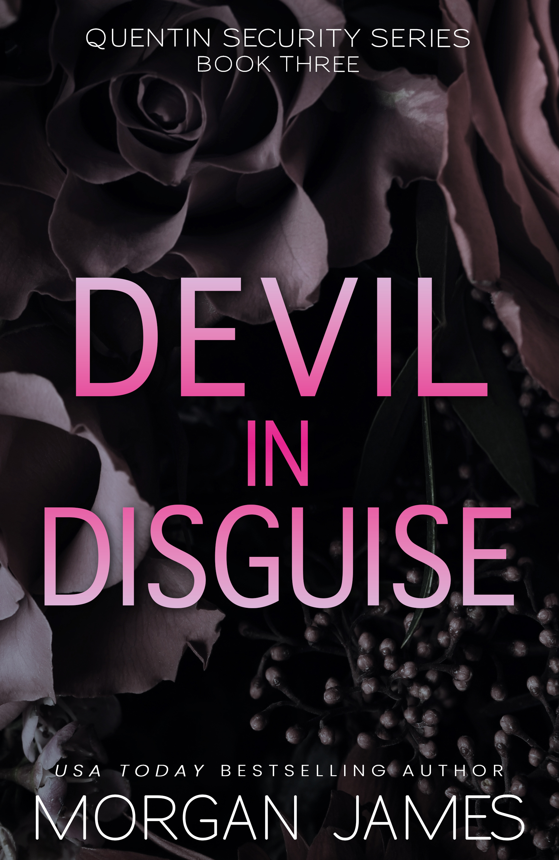 Devil in Disguise (Quentin Security #3) by Morgan James | Goodreads
