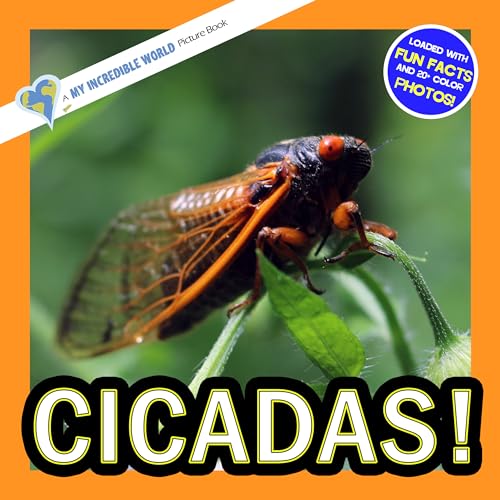Cicadas!: A My Incredible World Picture Book for Children by Hope ...