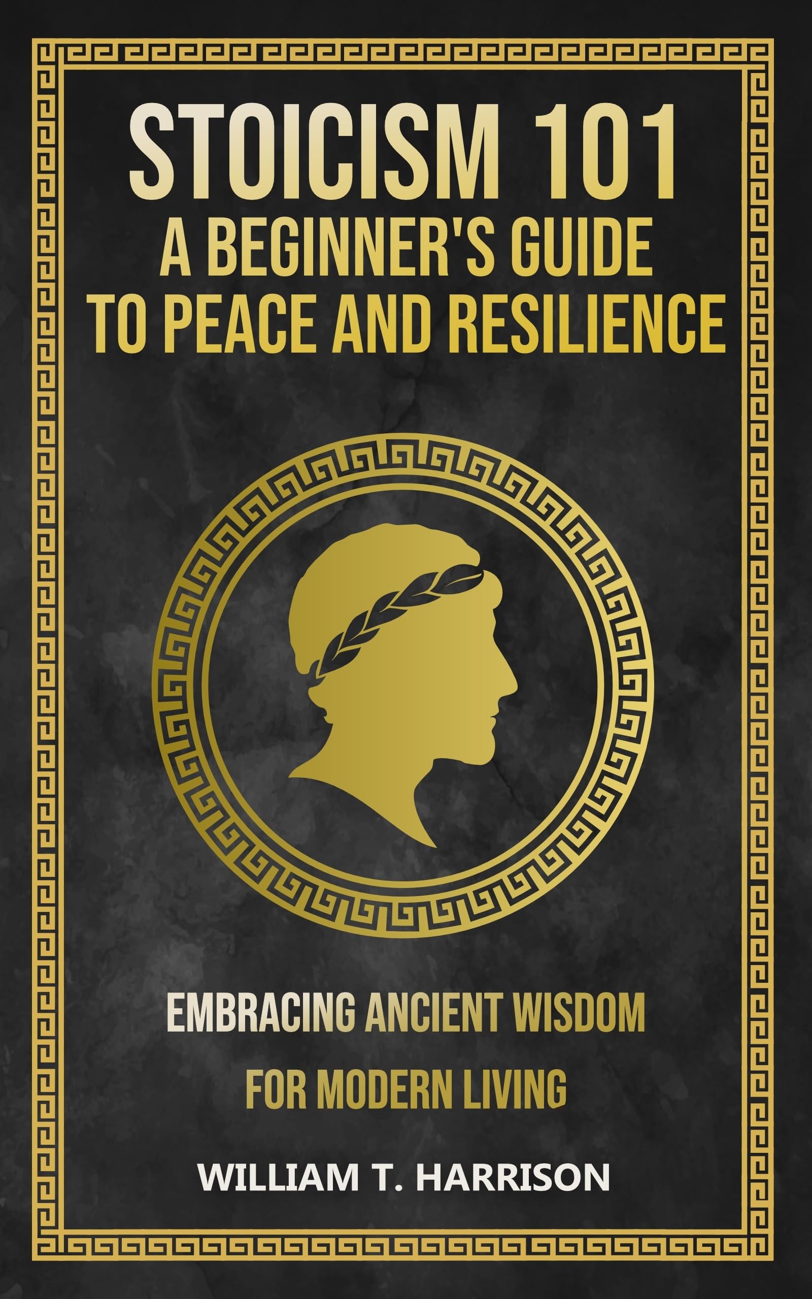 Stoicism 101: A Beginner's Guide to Peace and Resilience: Embracing ...