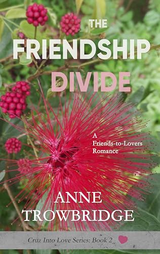The Friendship Divide: A Friends-to-Lovers Romance by Anne Trowbridge ...