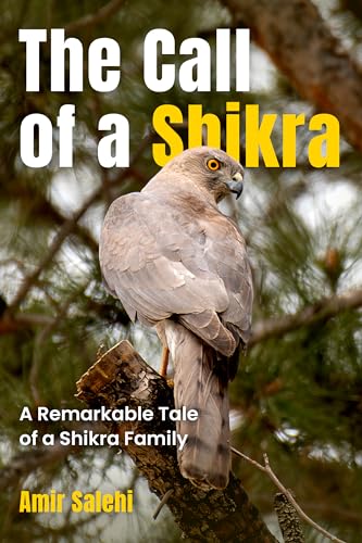 The Call of a Shikra: A Remarkable Tale of a Shikra Family by Amir ...