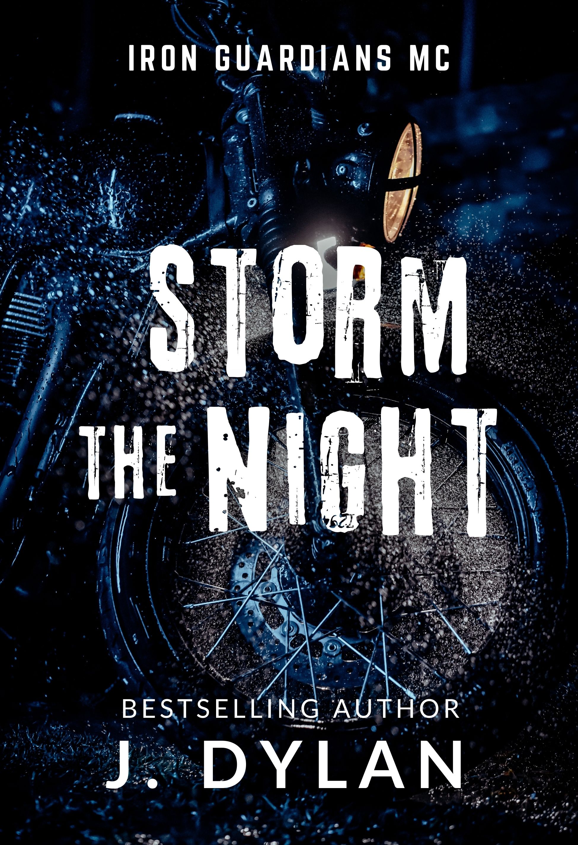 Storm the Night: Iron Guardians MC Romance by J. Dylan | Goodreads