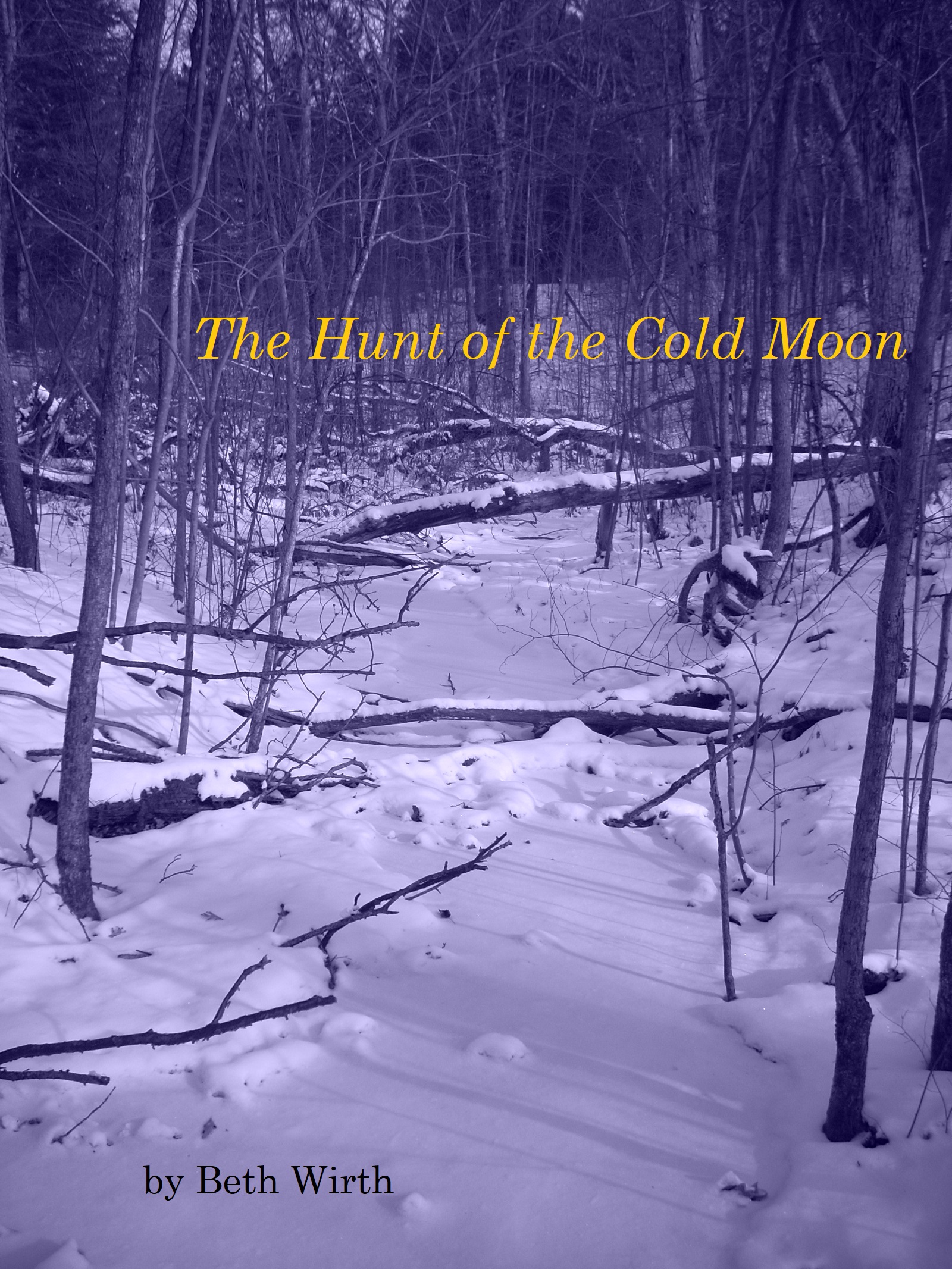 The Hunt of the Cold Moon by Beth Wirth | Goodreads