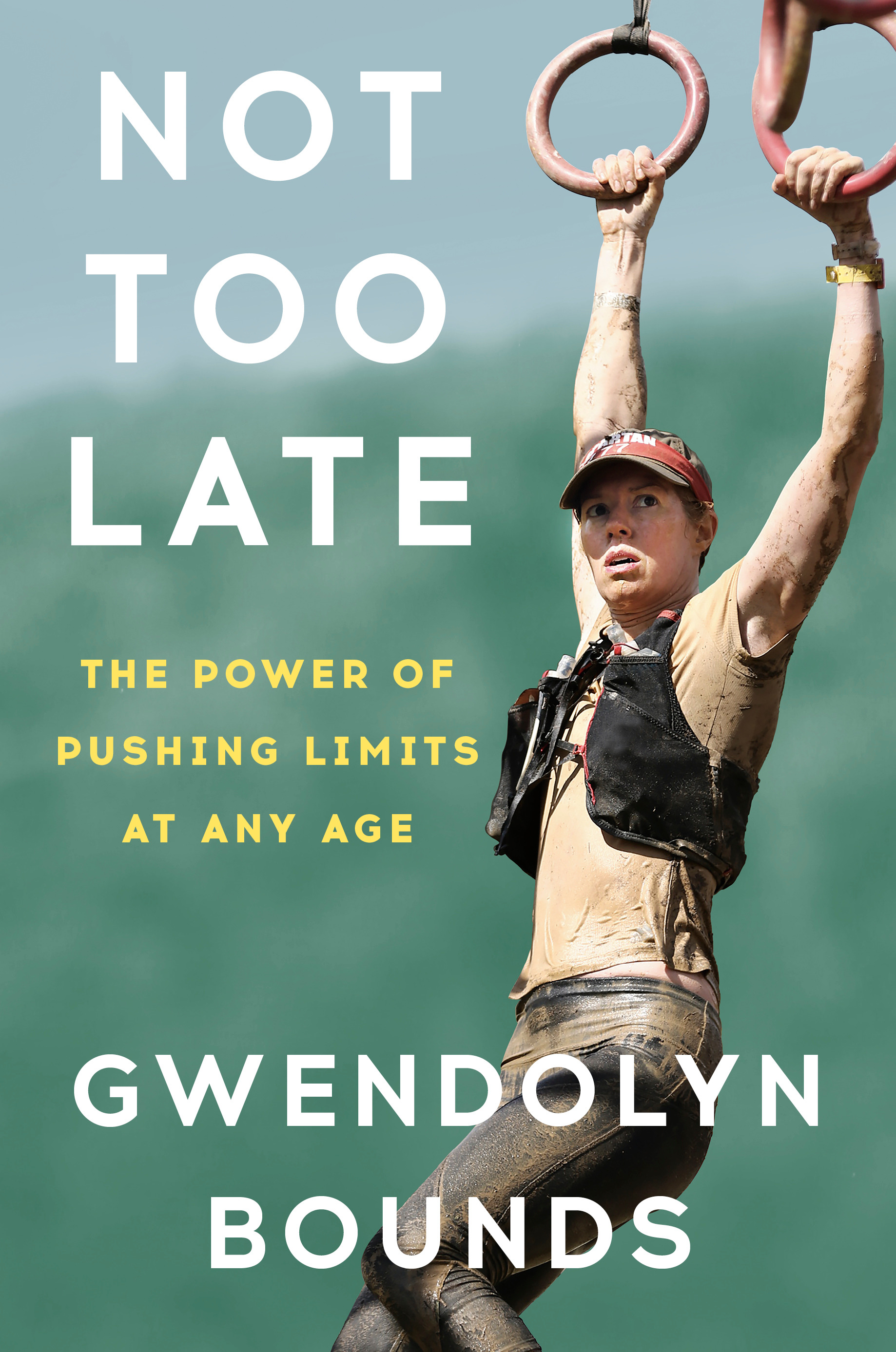 Not Too Late: The Power of Pushing Limits at Any Age by Gwendolyn ...