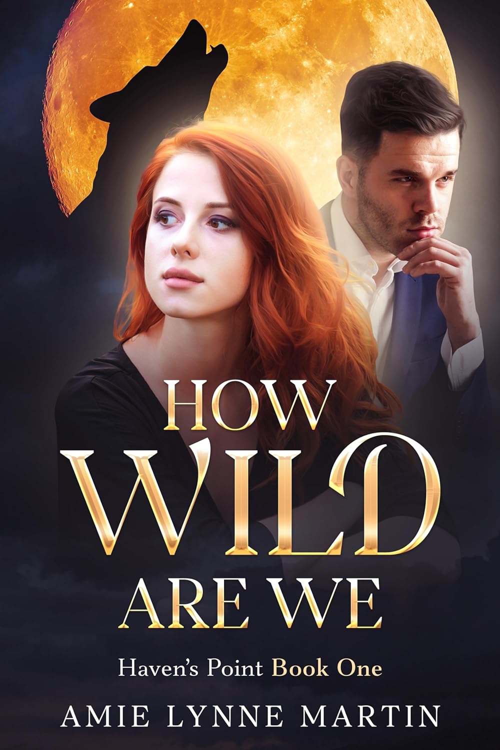 How Wild Are We (Haven's Point Book 1) by Amie Lynne Martin | Goodreads