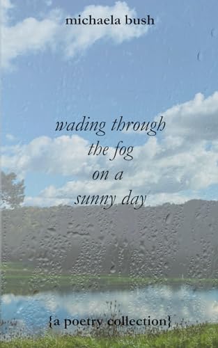 wading through the fog on a sunny day by Michaela Bush | Goodreads