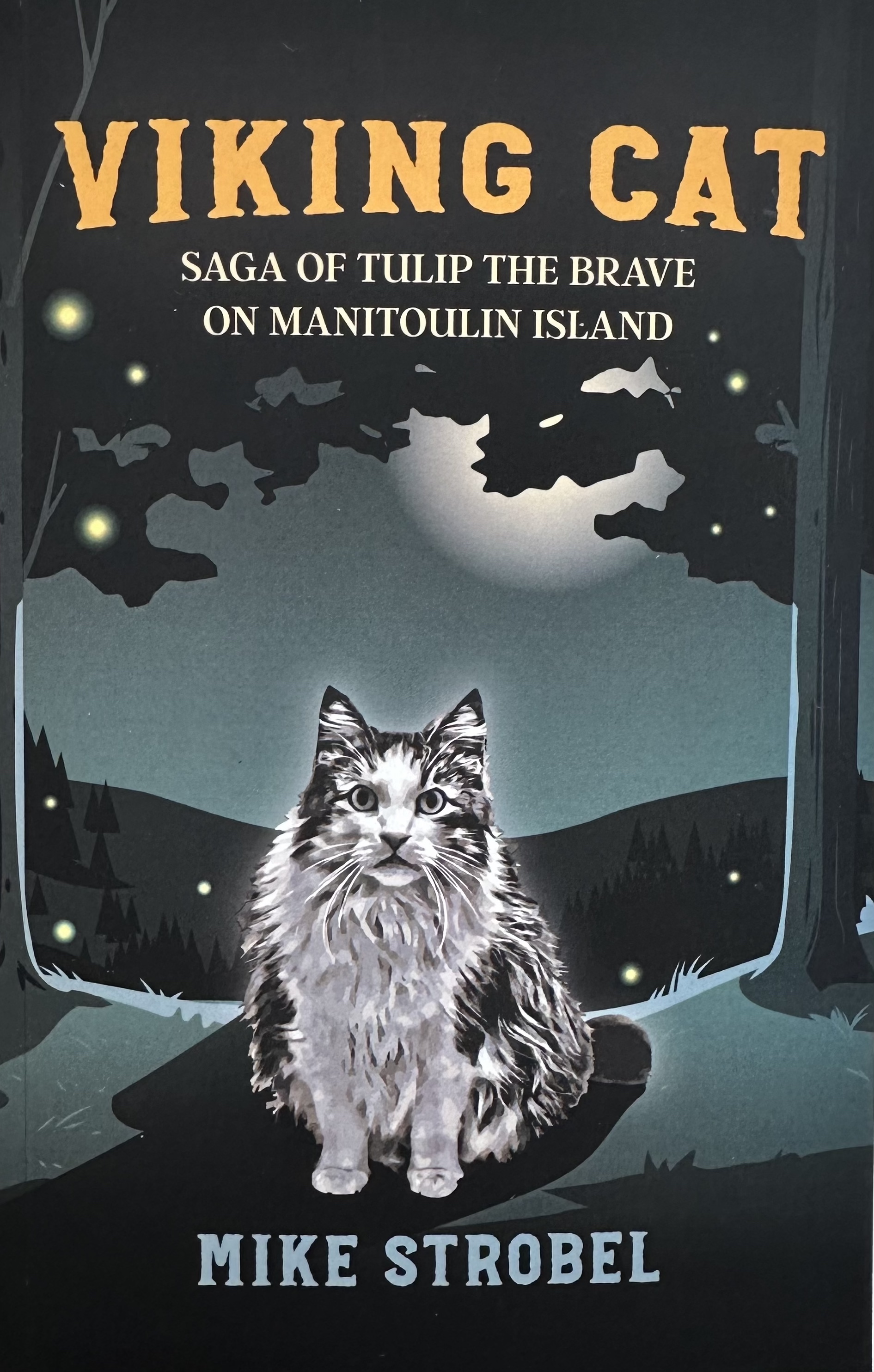 VIKING CAT - Saga of Tulip the Brave on Manitoulin Island by Mike ...