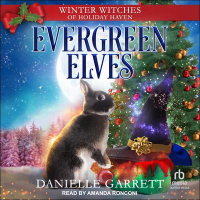 Evergreen Elves (Lumi Northrop, #3) by Danielle Garrett | Goodreads