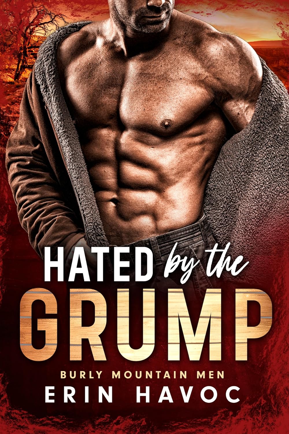 Hated by the Grump (Burly Mountain Men, #3) by Erin Havoc | Goodreads