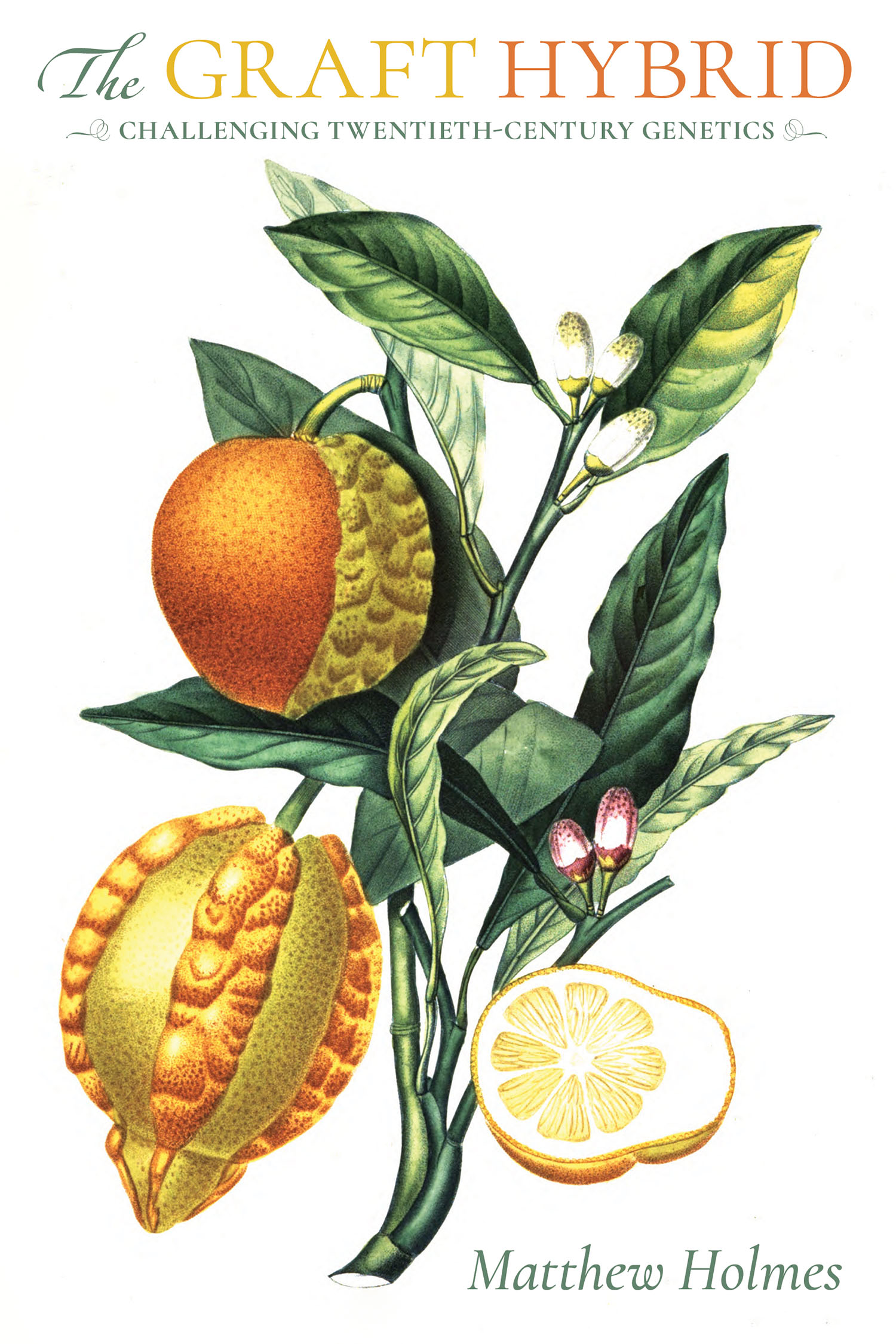 The Graft Hybrid: Challenging Twentieth-Century Genetics by Matthew ...