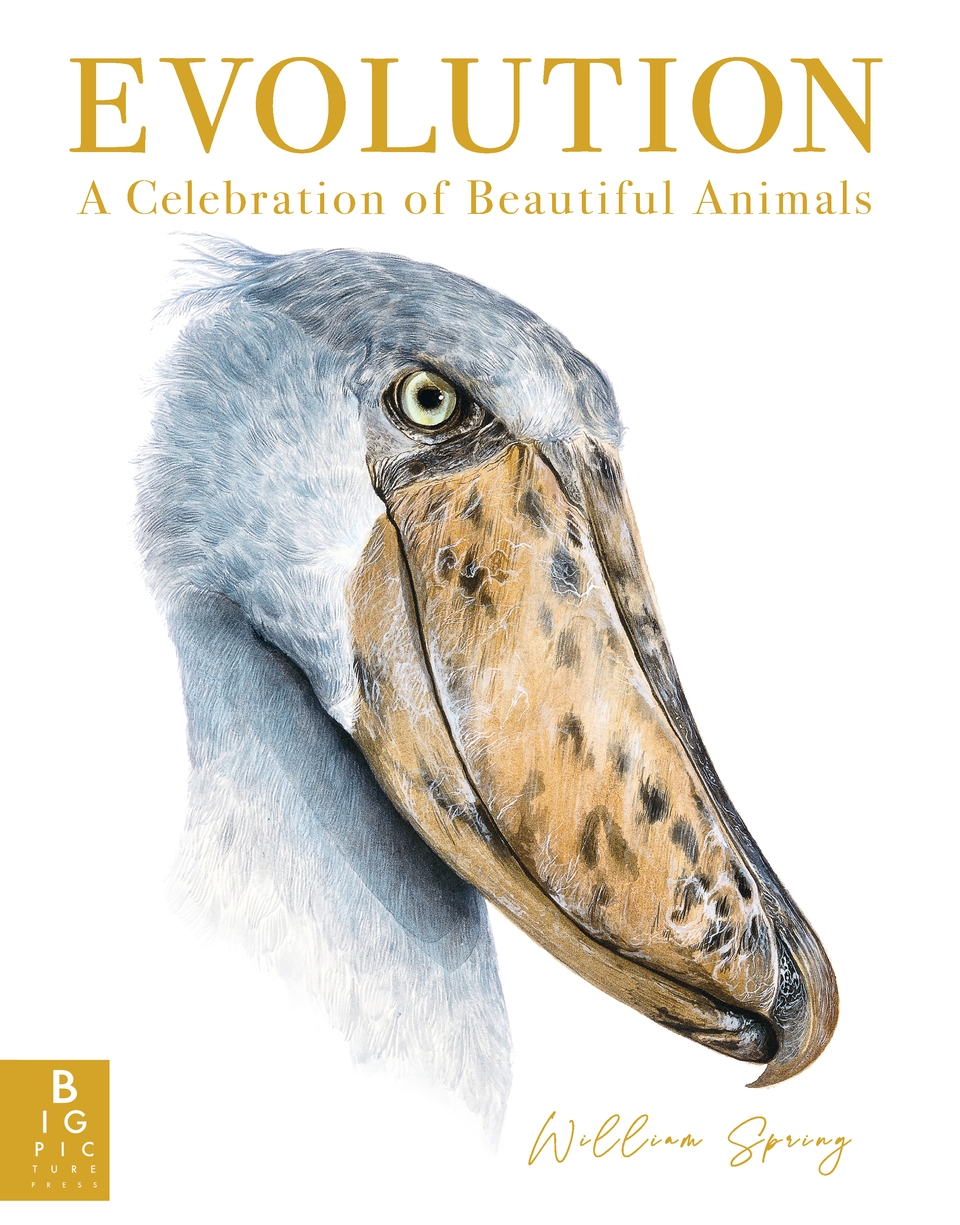 Evolution: A Celebration of Beautiful Animals by William Spring | Goodreads