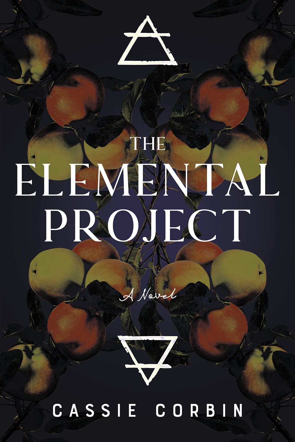 The Elemental Project by Cassie Corbin | Goodreads
