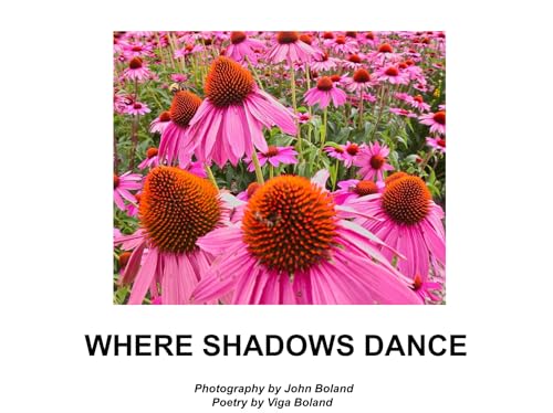 WHERE SHADOWS DANCE: a poetic journey through photographs by Viga ...