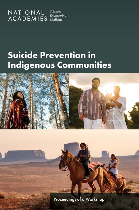 Suicide Prevention in Indigenous Communities: Proceedings of a Workshop ...