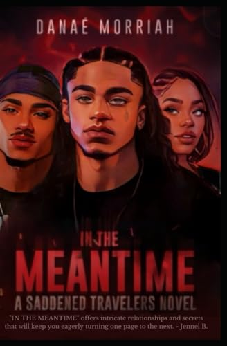 In the Meantime: A Saddened Travelers Novel by Danaé Morriah | Goodreads