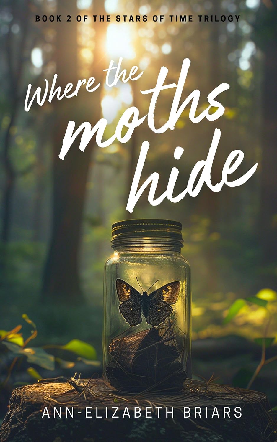 Where the Moths Hide (The Stars of Time #2) by Ann-Elizabeth Briars ...