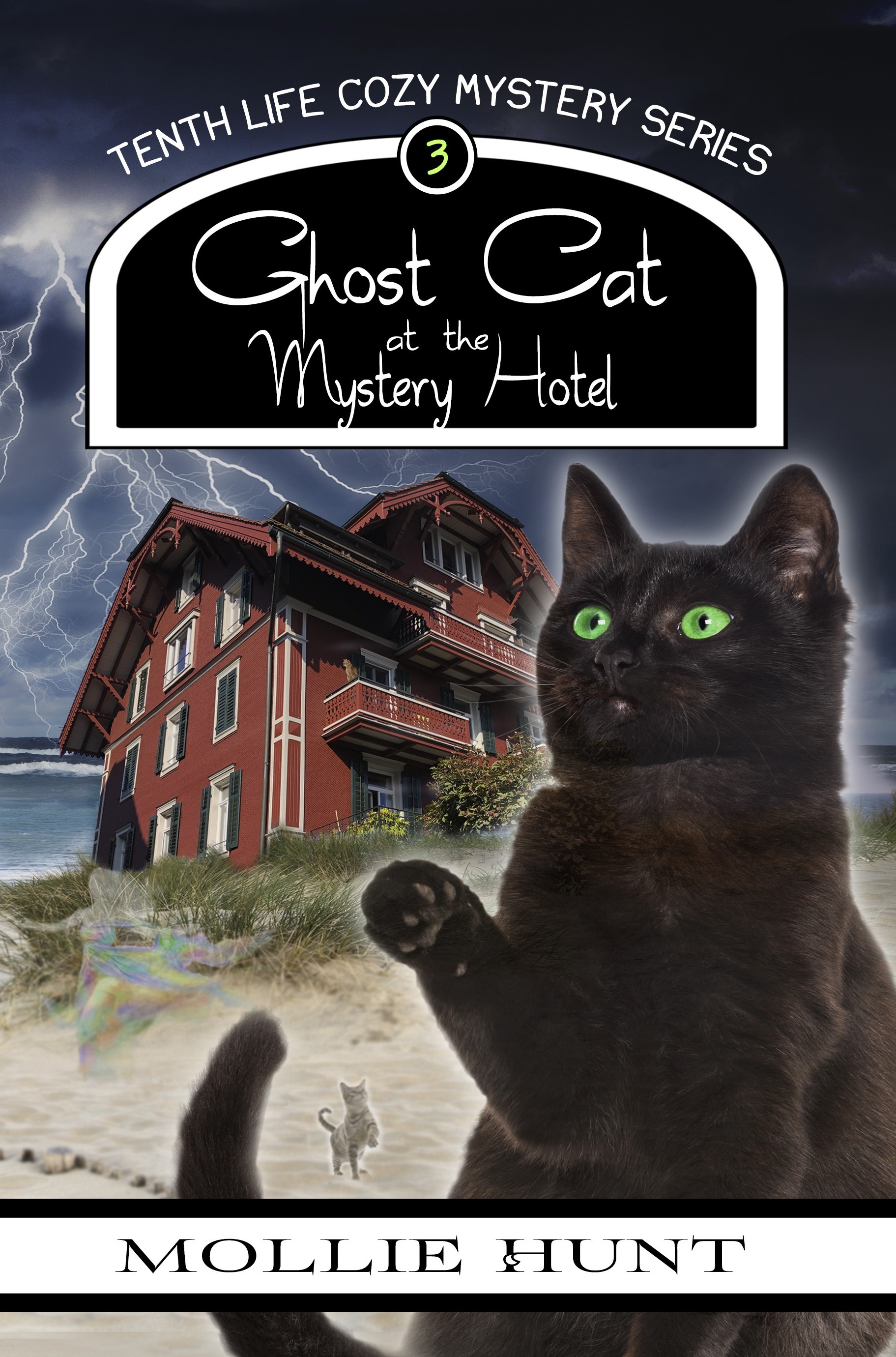 Ghost Cat at the Mystery Hotel by Mollie Hunt | Goodreads