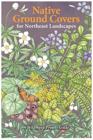Native Ground Covers for Northeast Landscapes: A Wild Seed Project ...