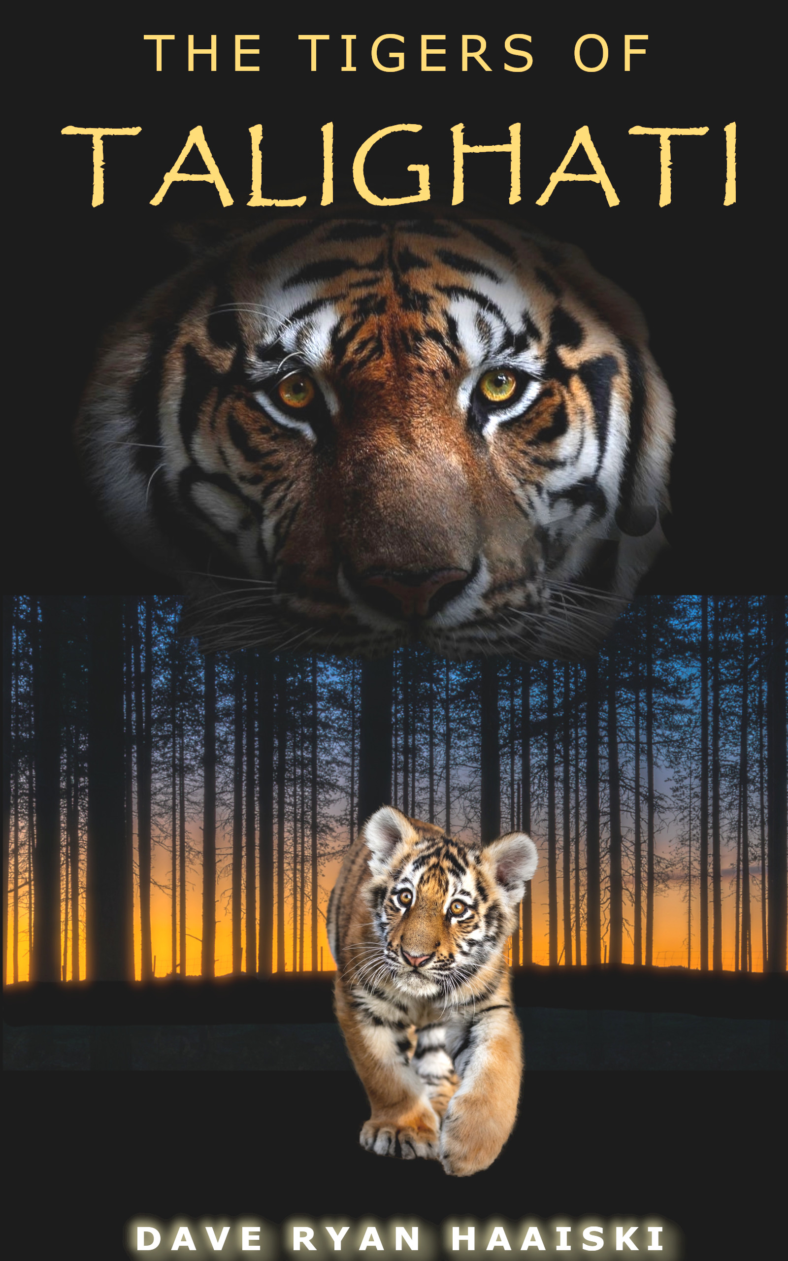 The Tigers of Talighati: A Dangerous Game of Survival by Dave Ryan ...