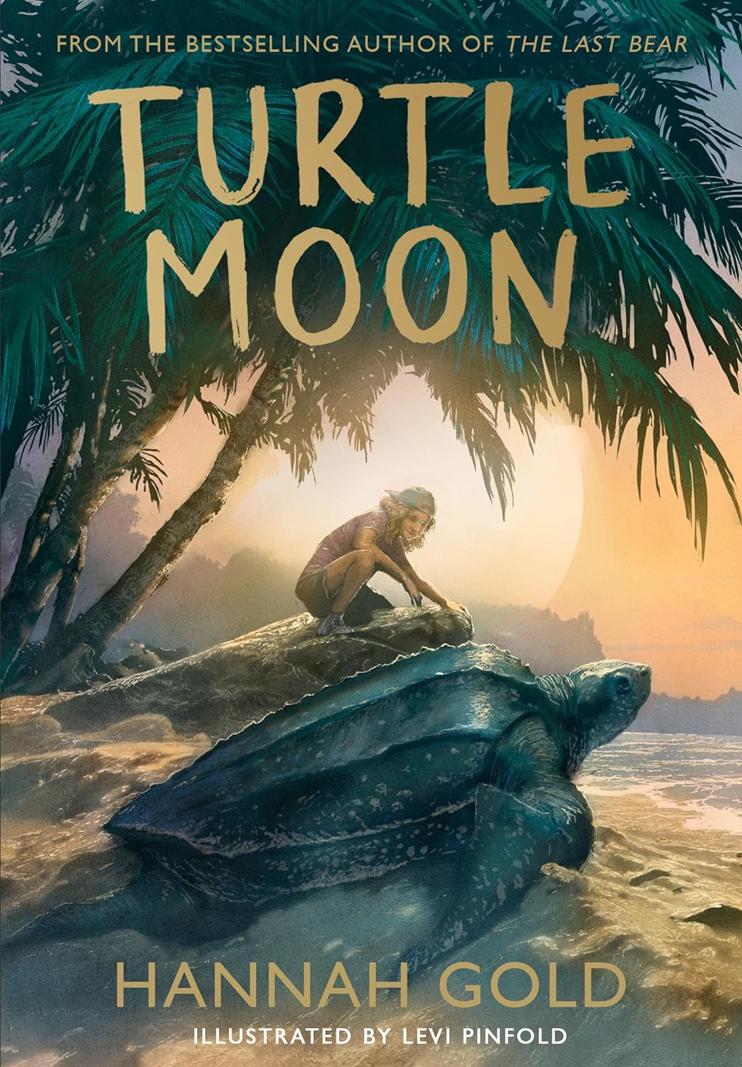 Turtle Moon by Hannah Gold | Goodreads