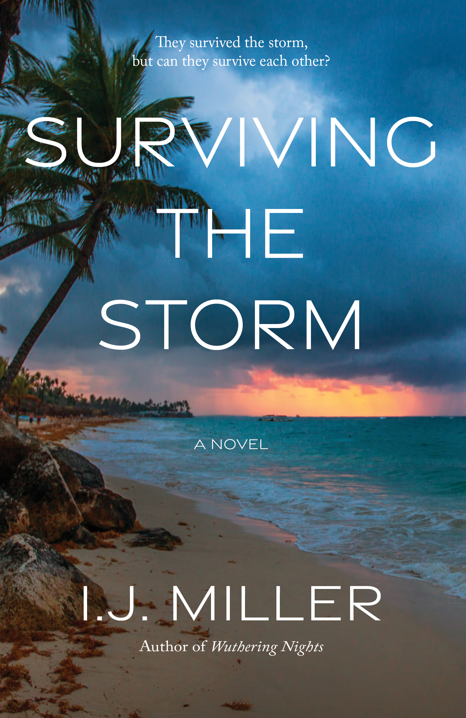 Surviving the Storm by I.J. Miller | Goodreads