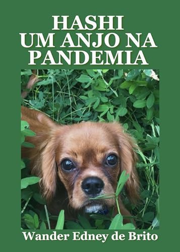 HASHI: UM ANJO NA PANDEMIA by WANDER EDNEY DE BRITO | Goodreads