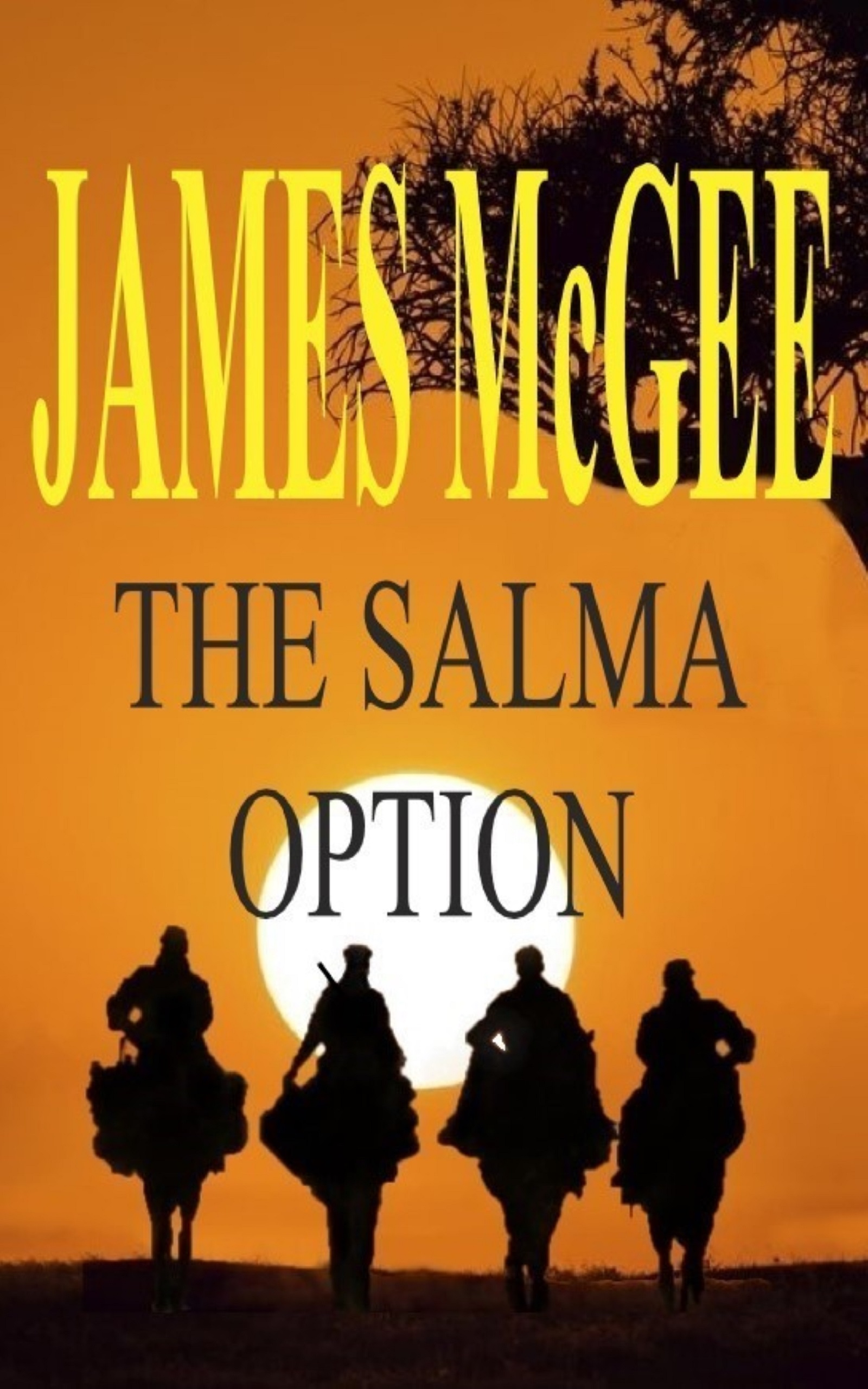 The Salma Option by James McGee | Goodreads