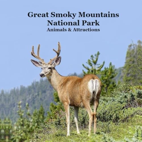Great Smoky Mountains National Park Kids Book: Great Way for Kids to ...