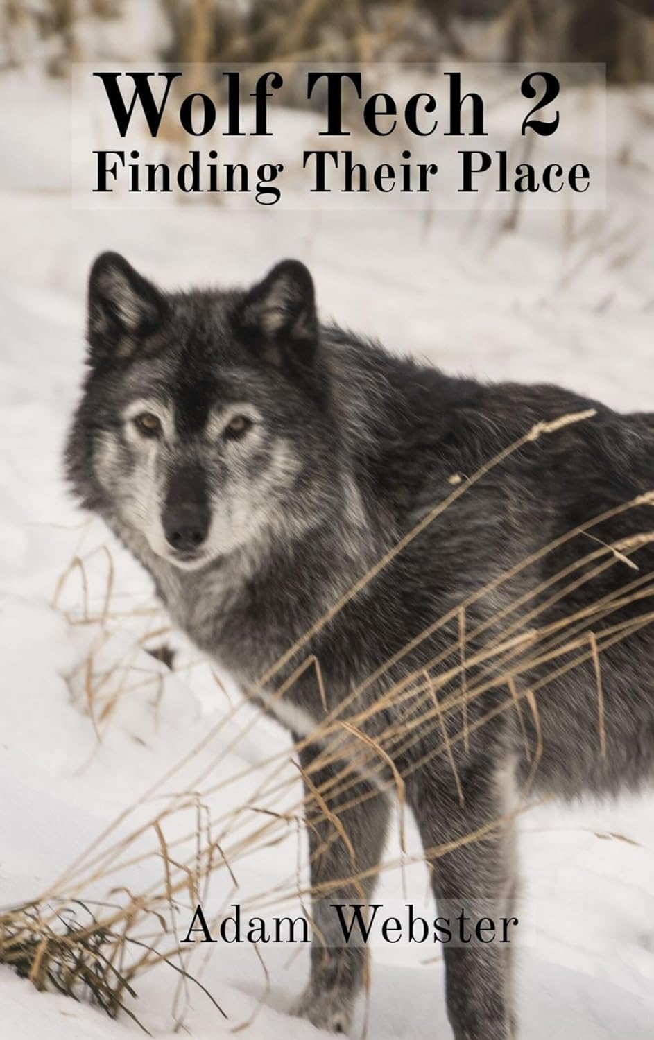 Wolf Tech 2: Finding Their Place by Adam Webster | Goodreads