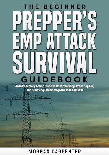 The Beginner Prepper’s EMP Attack Survival Guidebook: An Introductory ...