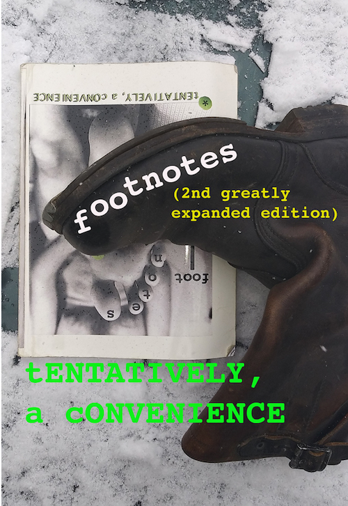 footnotes (2nd greatly expanded edition) by Tentatively a Convenience ...