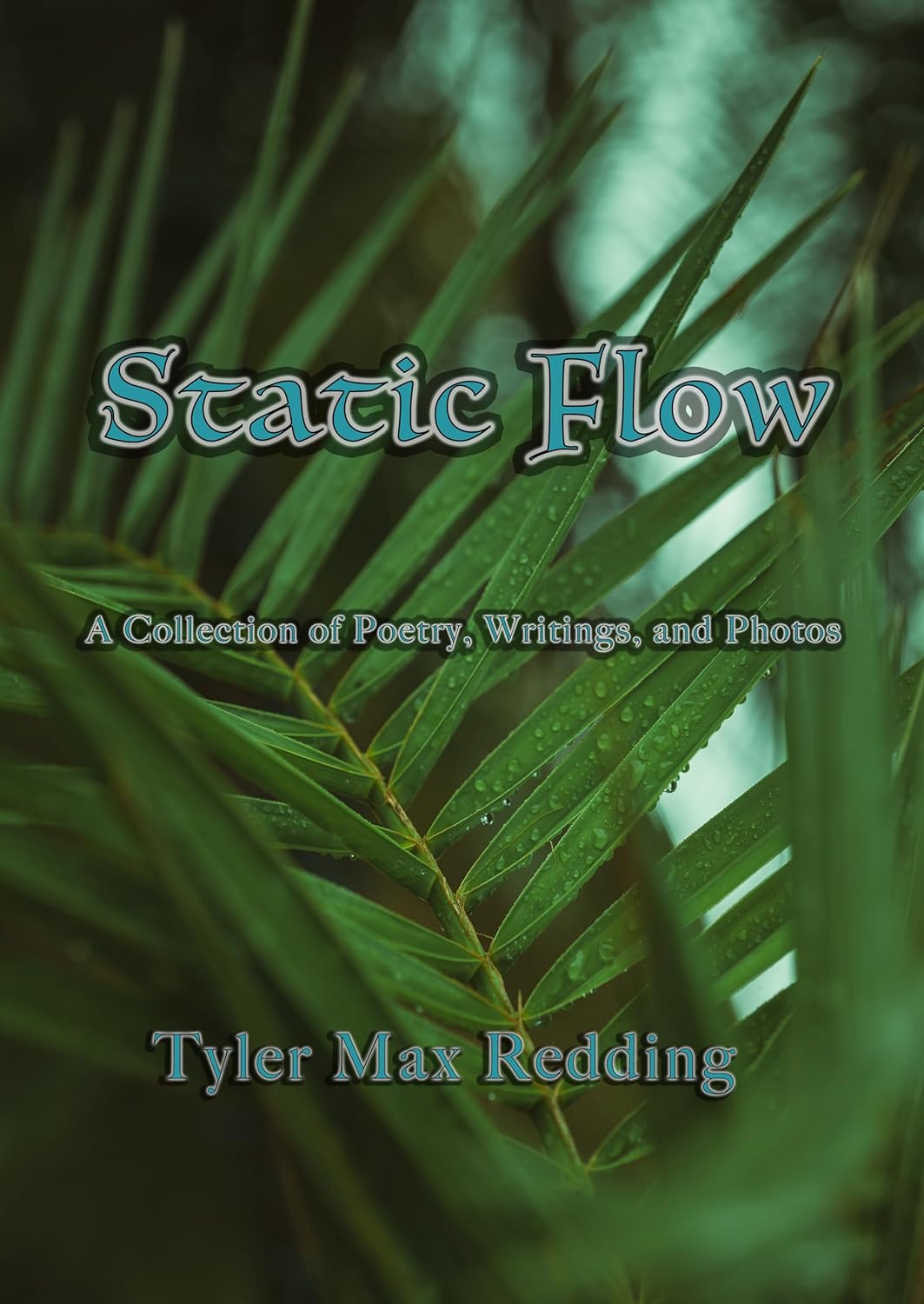 Static Flow by Tyler Max Redding | Goodreads