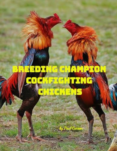 Breeding Champion Cockfighting Chickens: Old English Gamefowl by Paul ...
